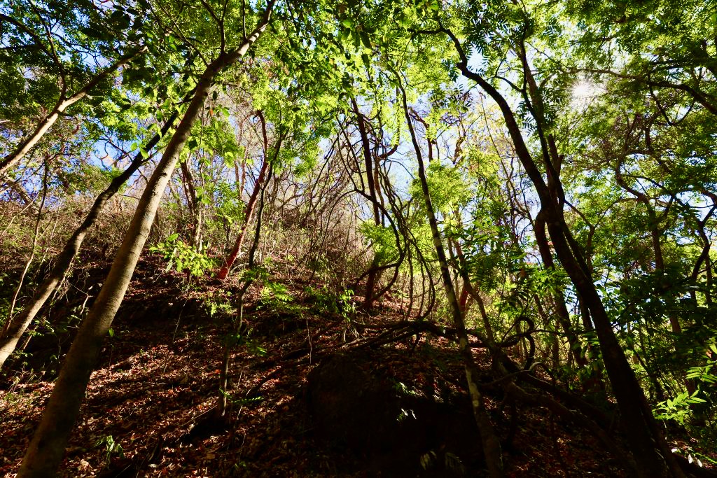 Cinquera, Route of Pools and Forests | Latina Republic